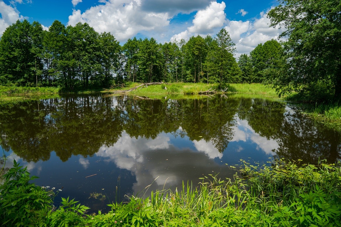 Home page - Polonia Travel (ES)