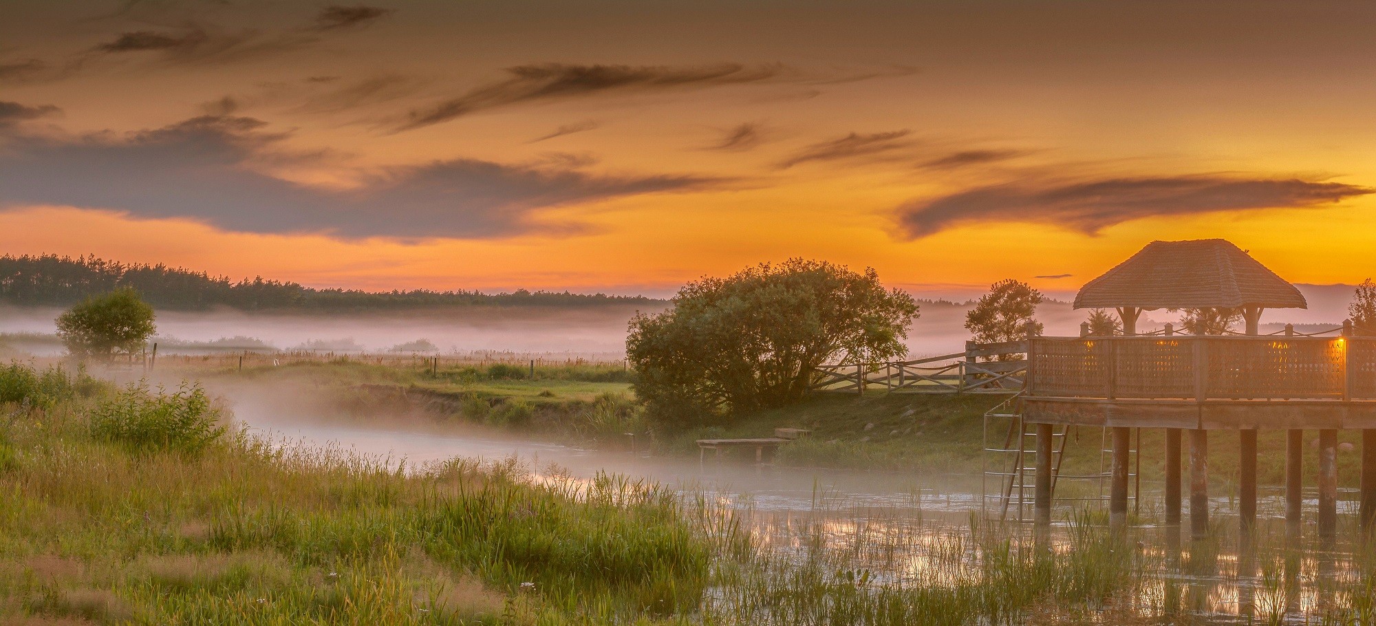Parque Nacional del Narew - Polonia Travel (ES)
